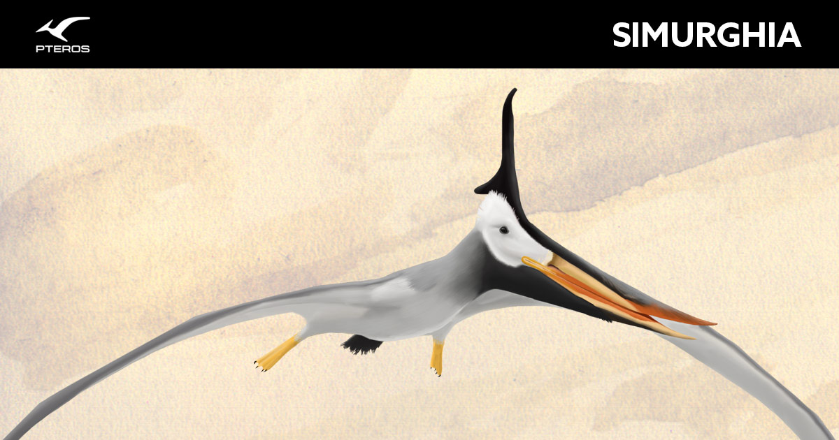 Pteros Pterosaur: Simurghia