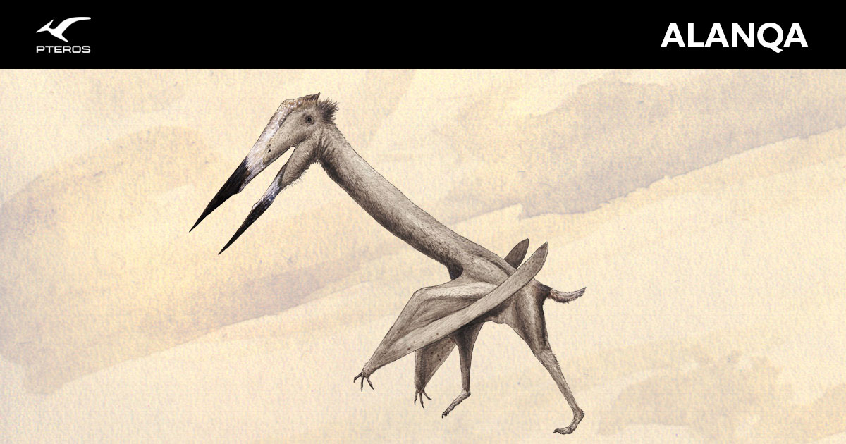 Pteros Pterosaur: Alanqa