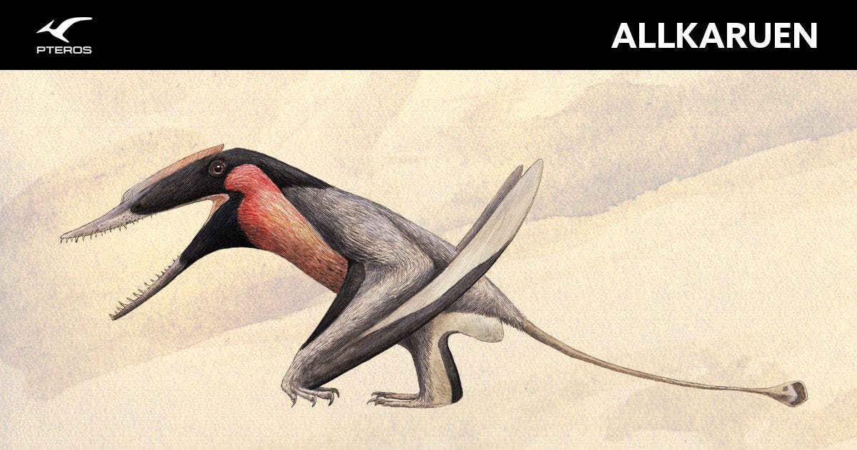 Allkaruen - Pteros