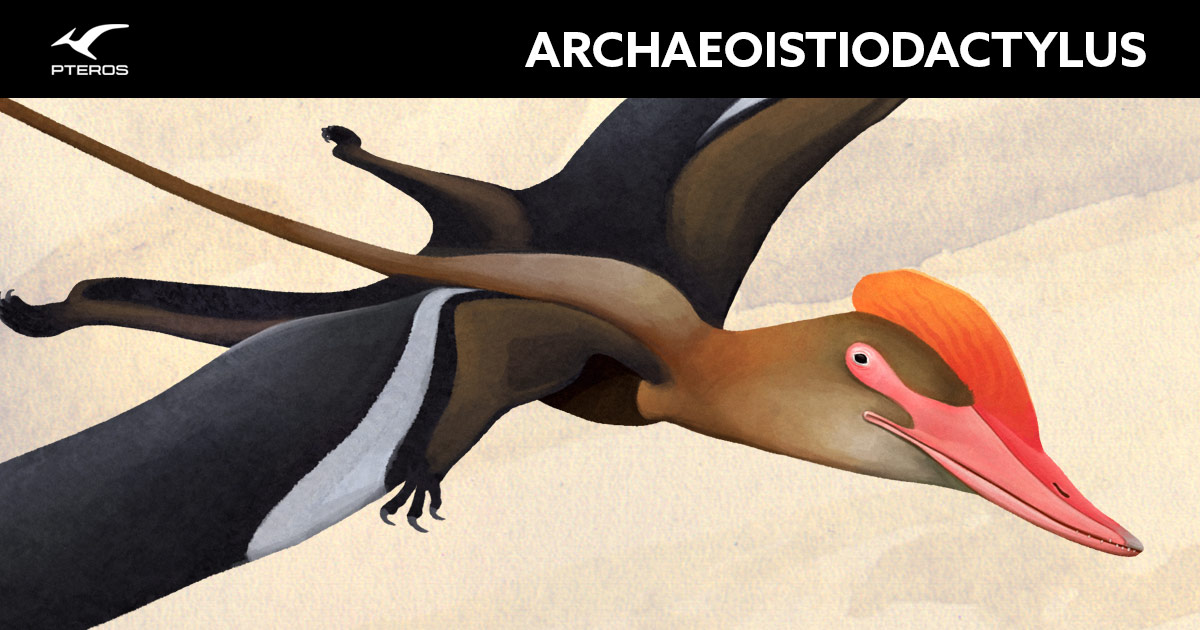Pteros Pterosaur: Archaeoistiodactylus