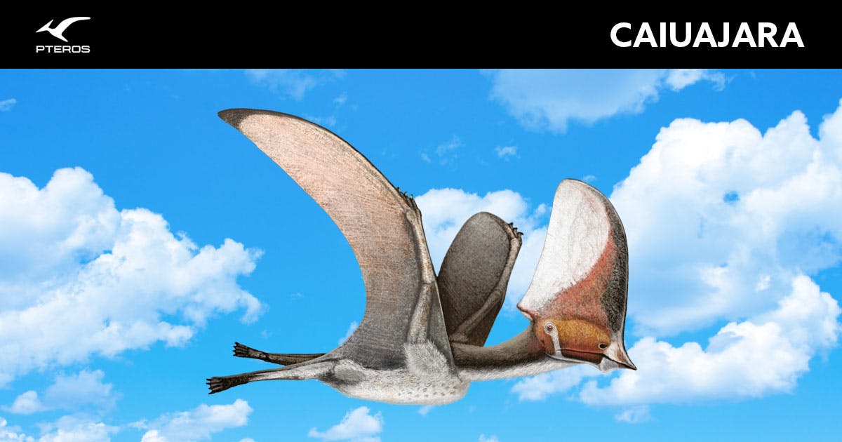 Caiuajara - Pteros