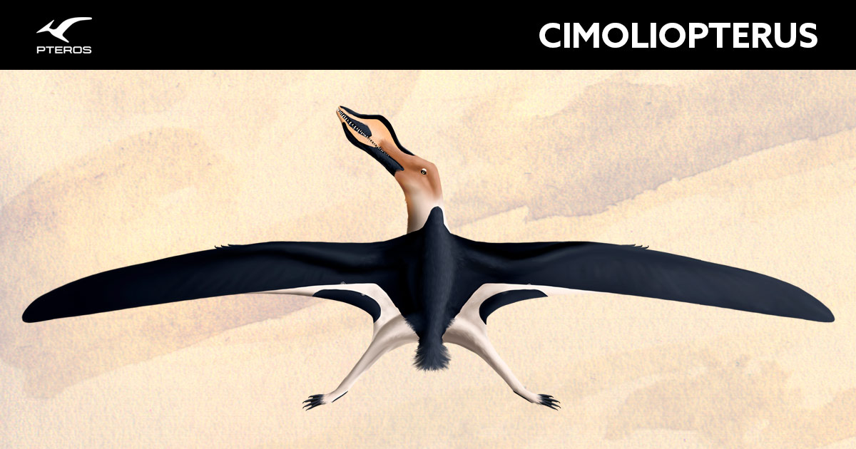 Pteros Pterosaur: Cimoliopterus
