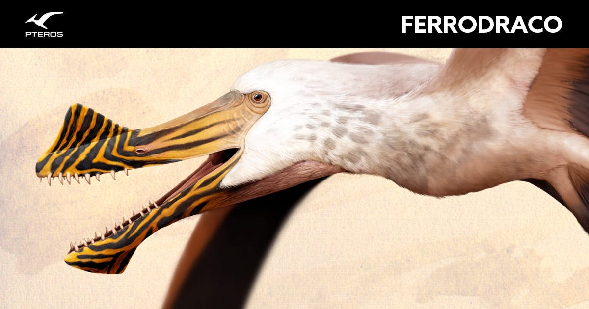 Ferrodraco - Pteros