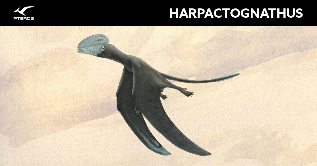Pteros Pterosaur: Harpactognathus