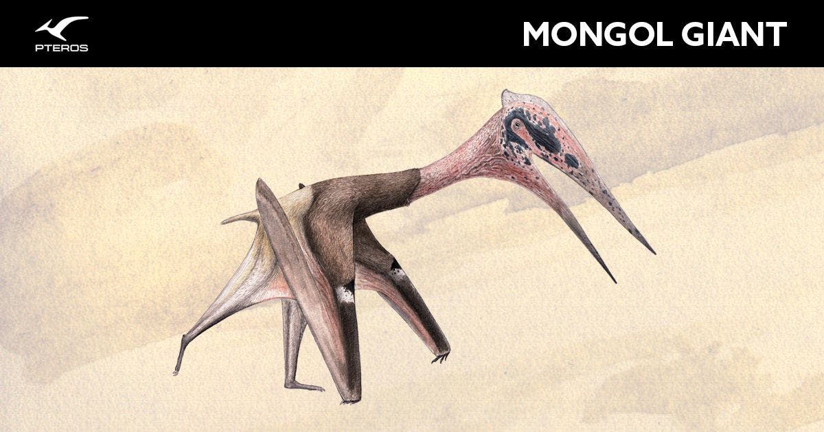 Mongol Giant - Pteros