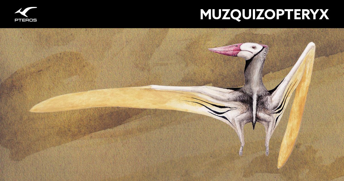 Pteros Pterosaur: Muzquizopteryx