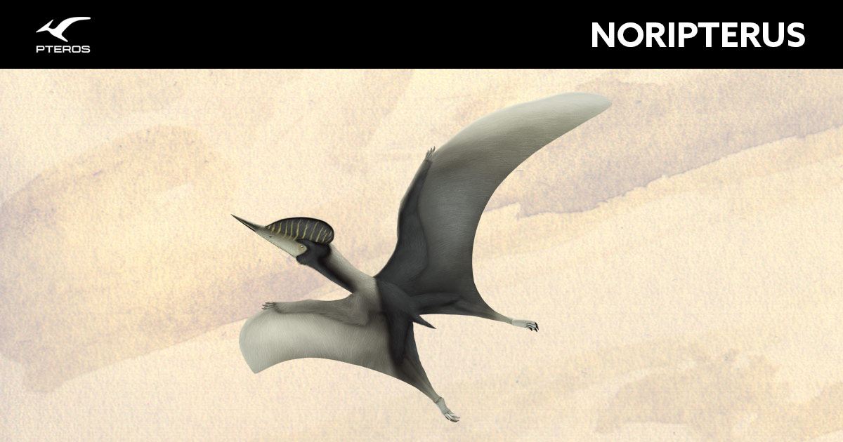 Pteros Pterosaur: Noripterus