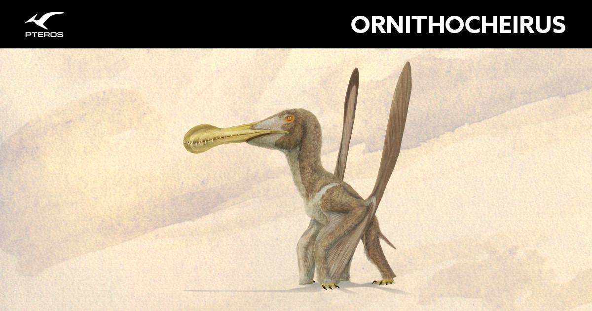 Pteros Pterosaur: Ornithocheirus