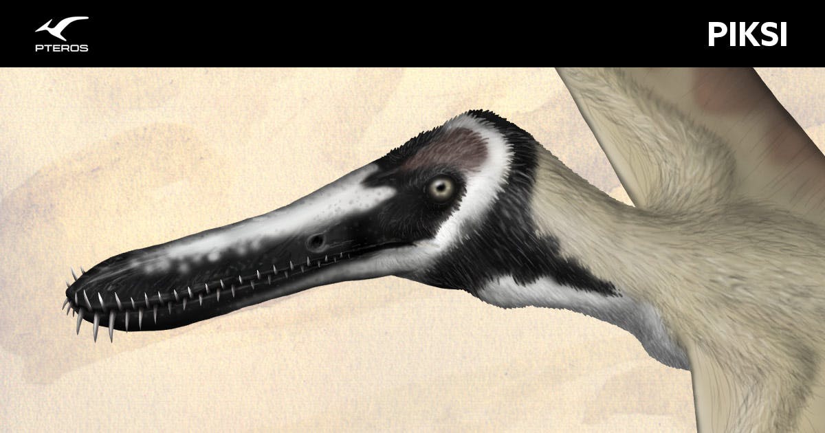 Piksi - Pteros