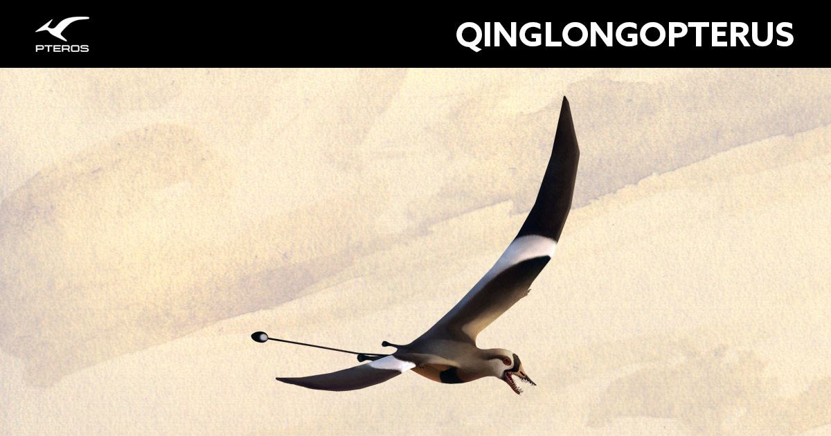 Pteros Pterosaur: Qinglongopterus