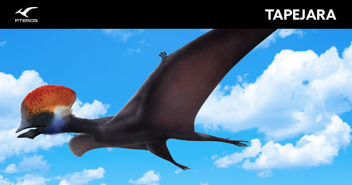 Pteros Pterosaur: Tapejara