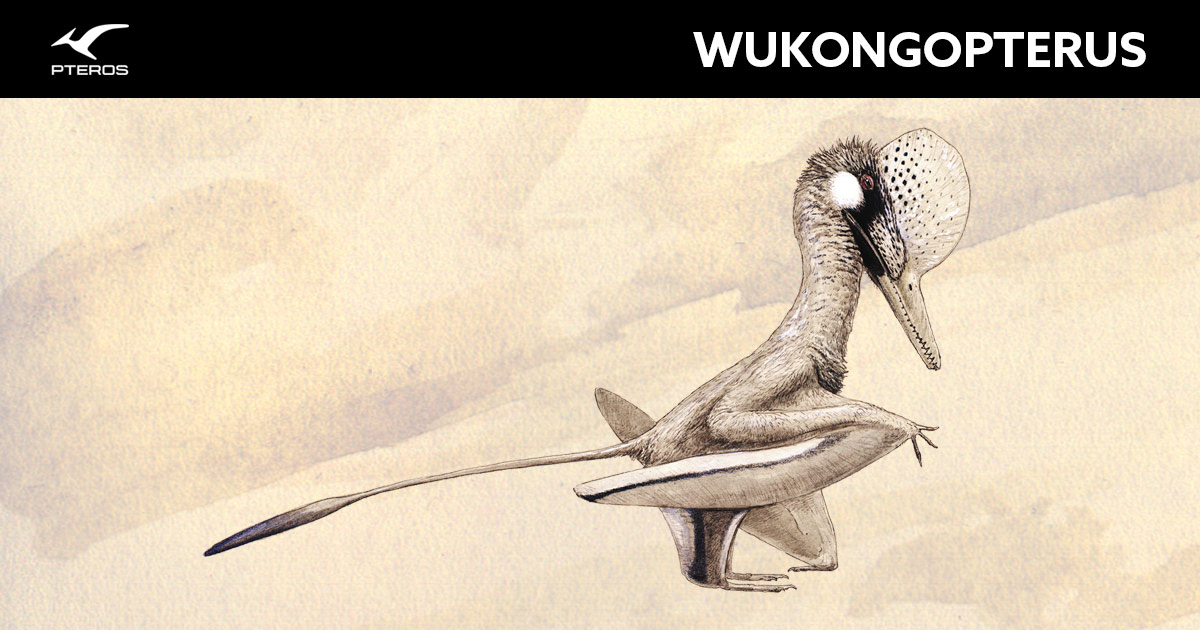 Pteros Pterosaur: Wukongopterus