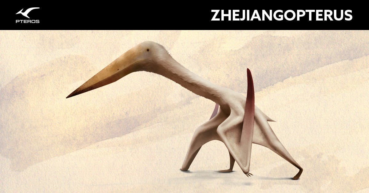 Zhejiangopterus - Pteros