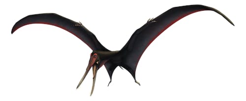 Pteros, The Encyclopedia of Pterosaurs