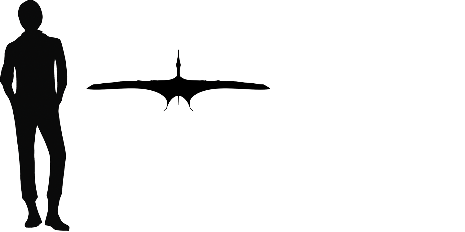 Boreopterus - Pteros