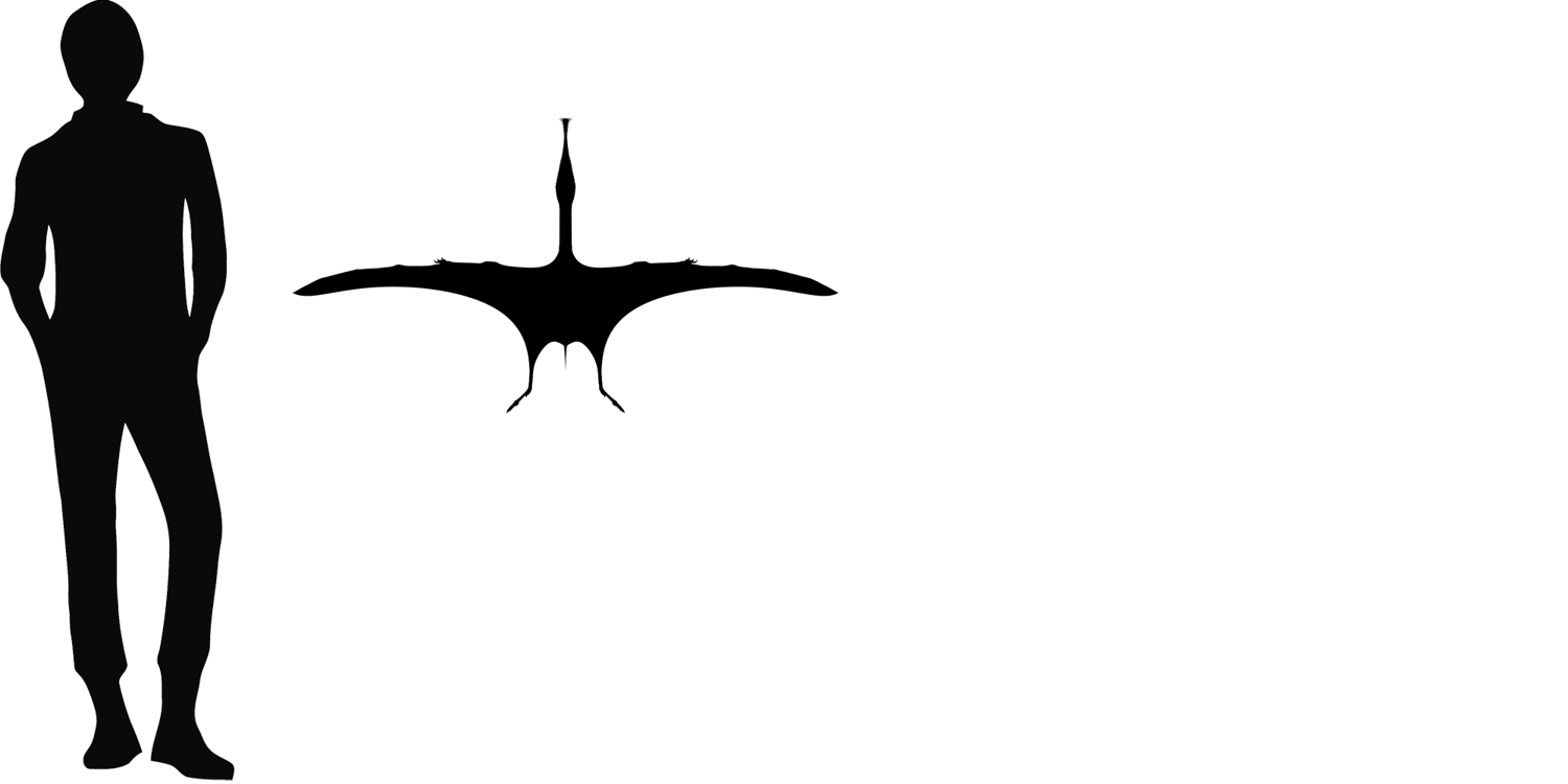 Ctenochasma - Pteros