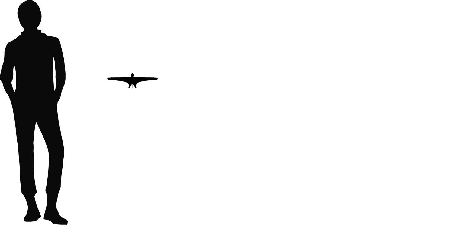 Dendrorhynchoides - Pteros