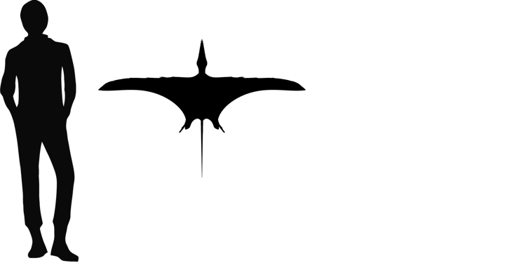 Dimorphodon - Pteros