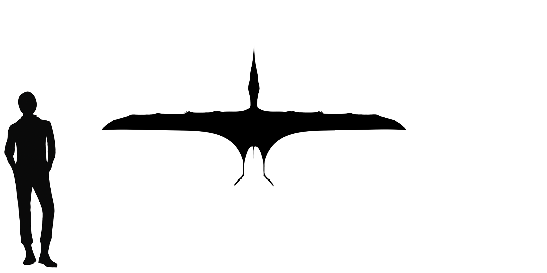 Dsungaripterus - Pteros