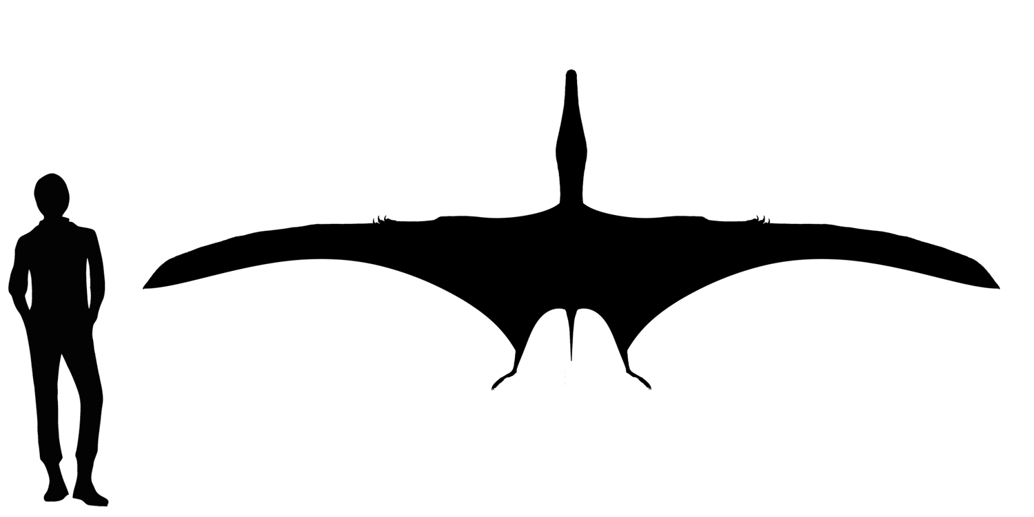 Istiodactylus - Pteros