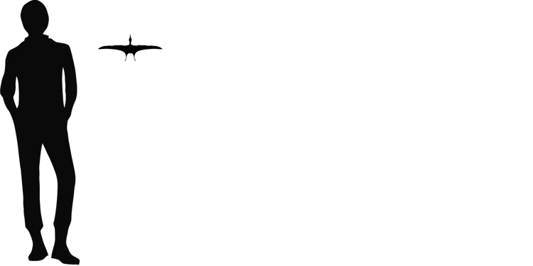 Nemicolopterus - Pteros