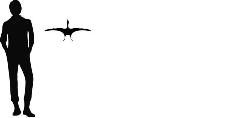 Normannognathus - Pteros