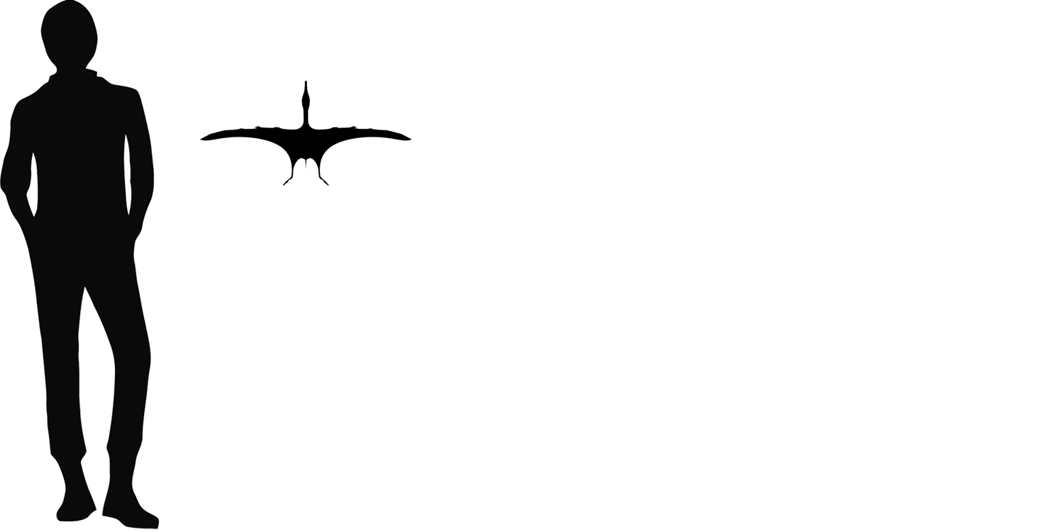 Normannognathus - Pteros