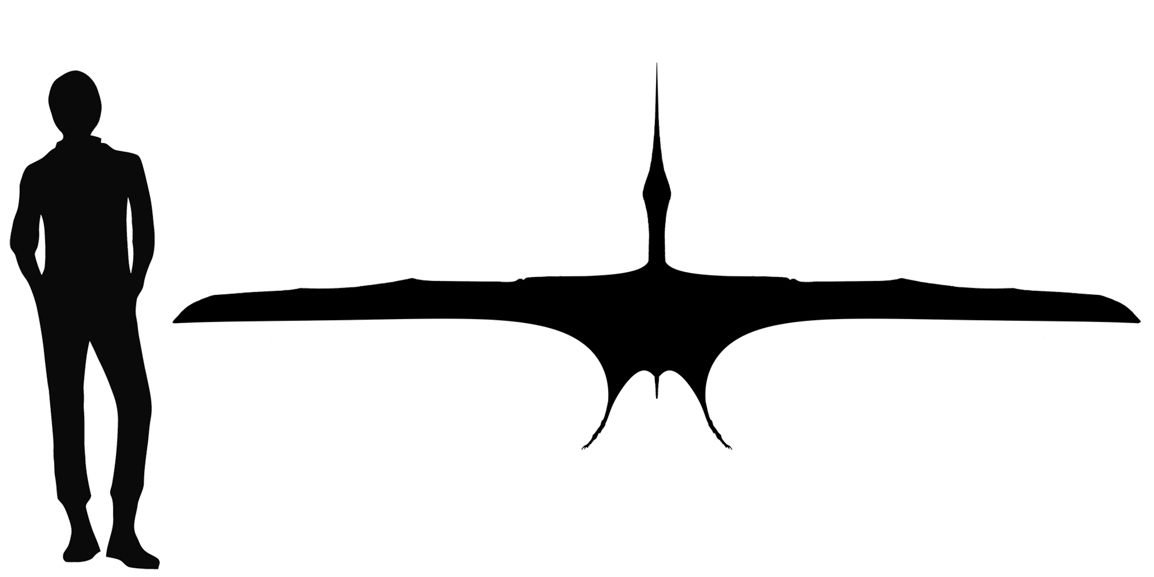 Nyctosaurus - Pteros