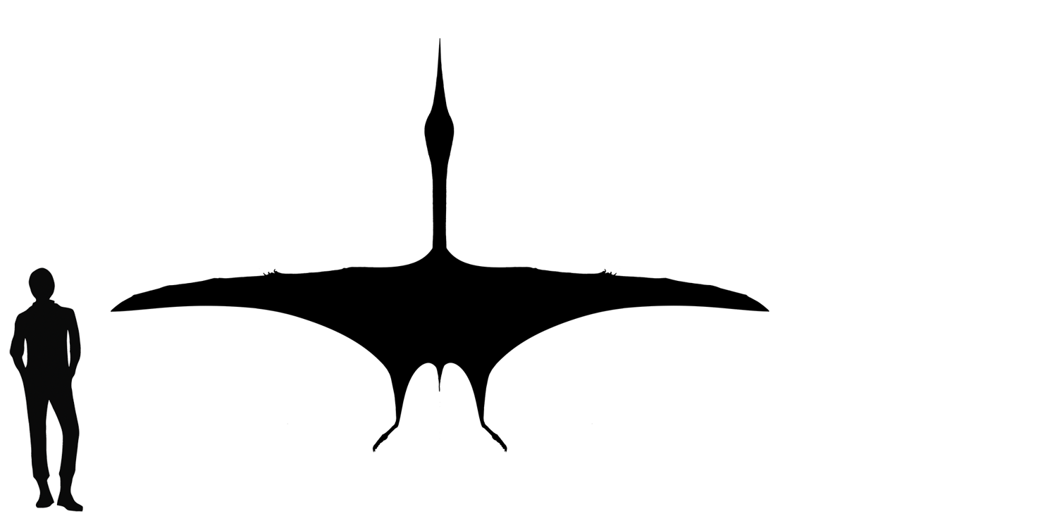 Phosphatodraco - Pteros