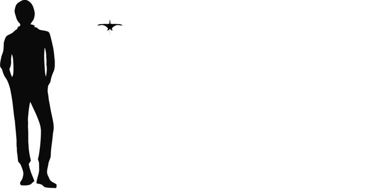 Qinglongopterus - Pteros