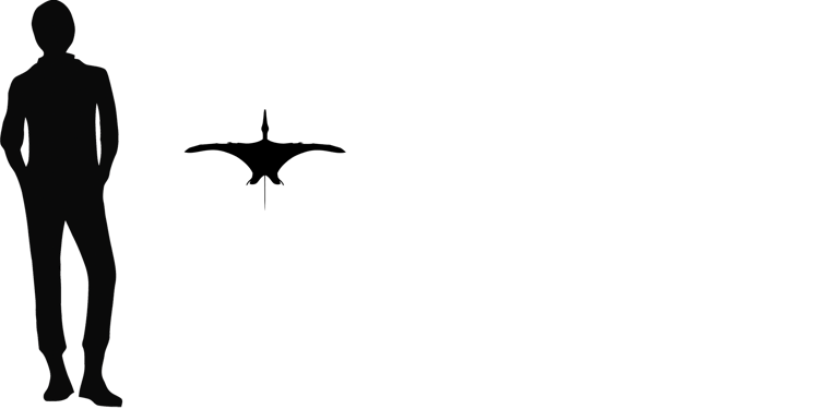 Wukongopterus - Pteros